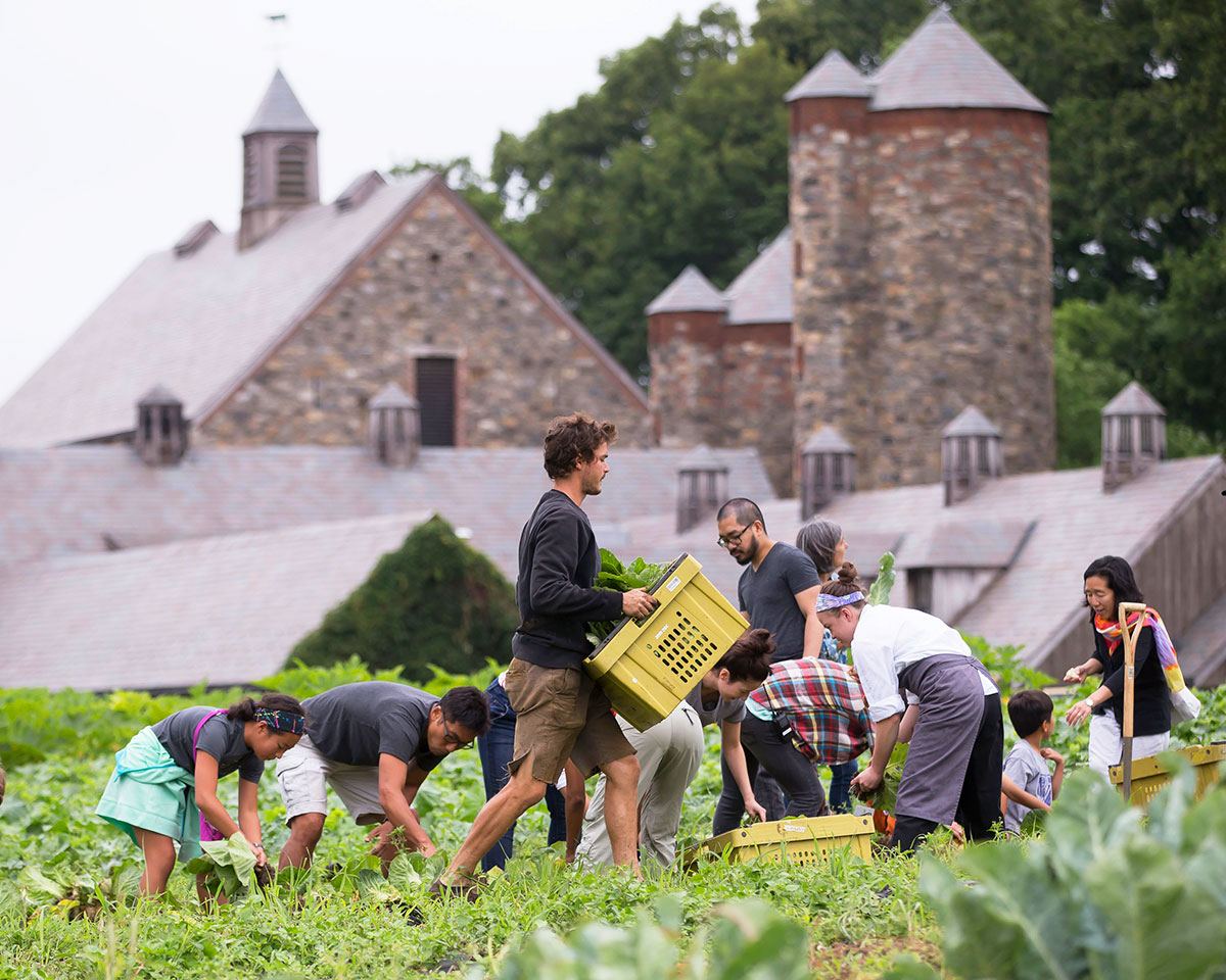 Reimagining Stone Barns Center's Digital Presence | Barrel
