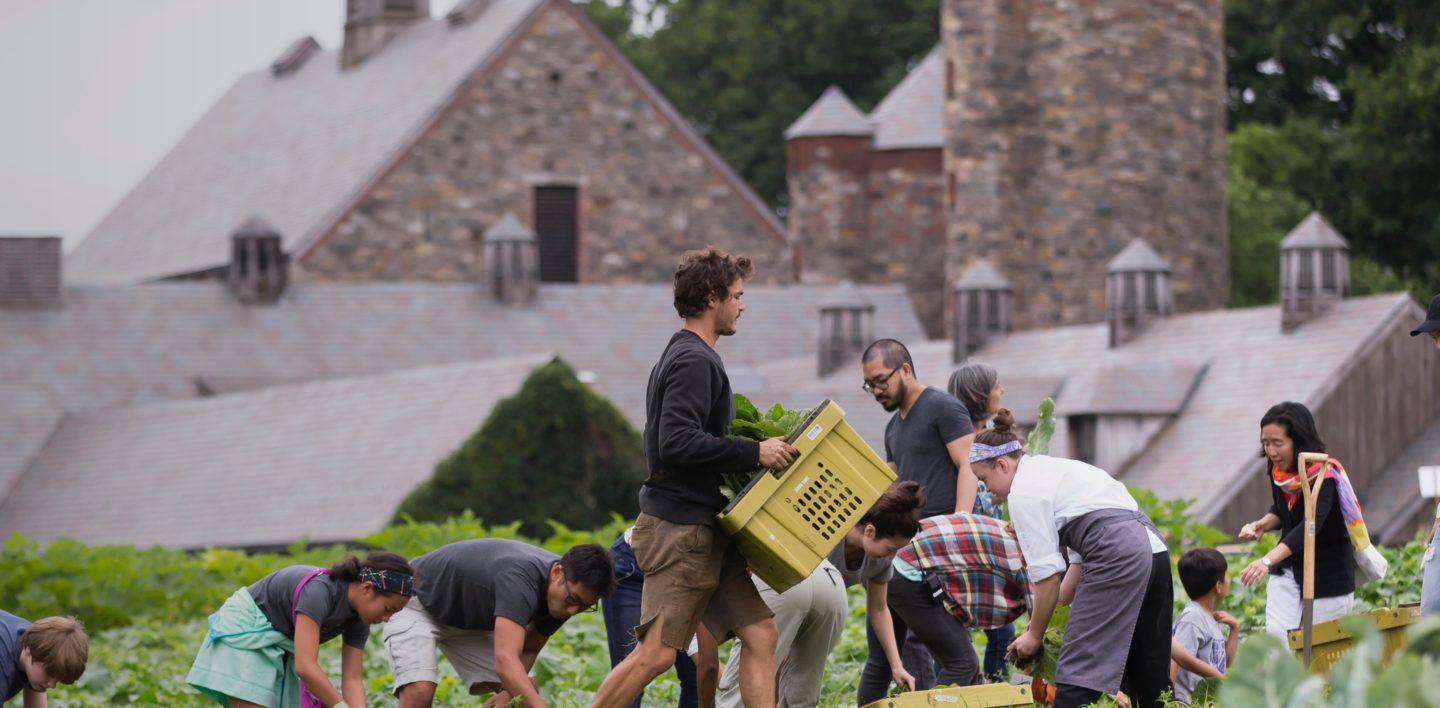 Stone Barns Center | Barrel
